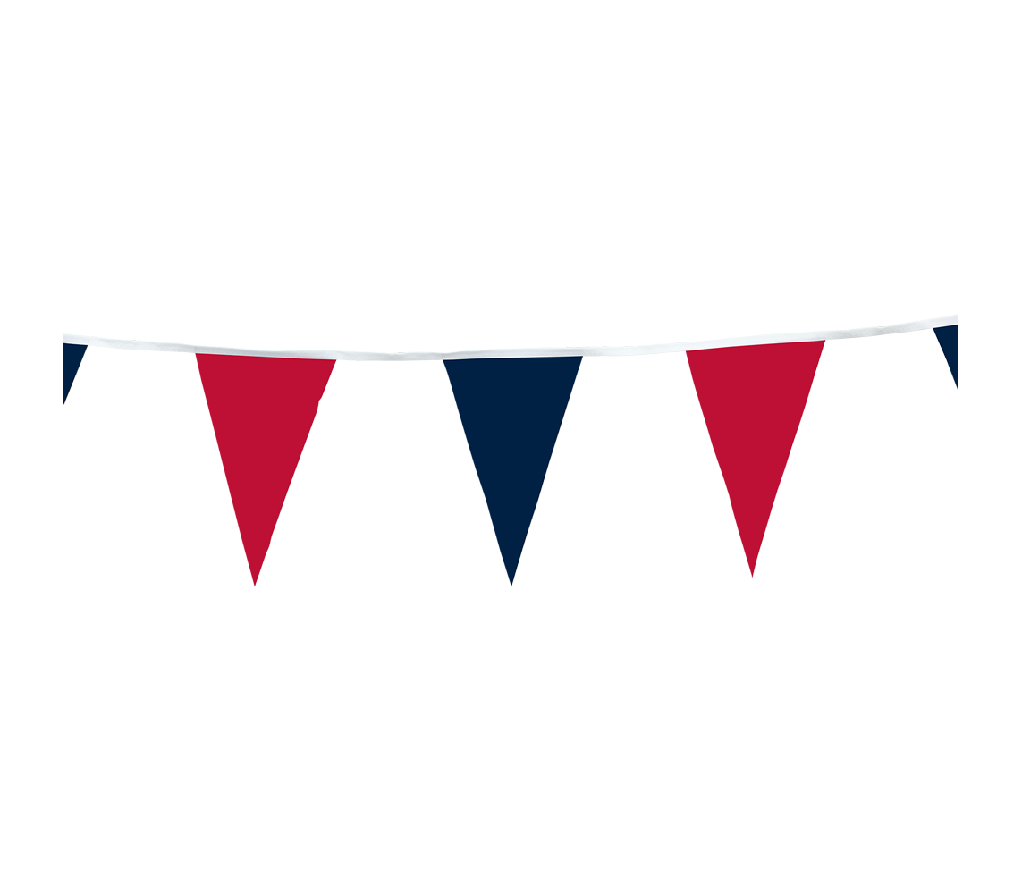 Colorful Pennant Banners | Tex Visions