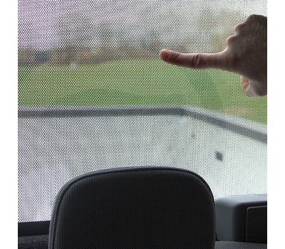 Rear Window Decals | Tex Visions